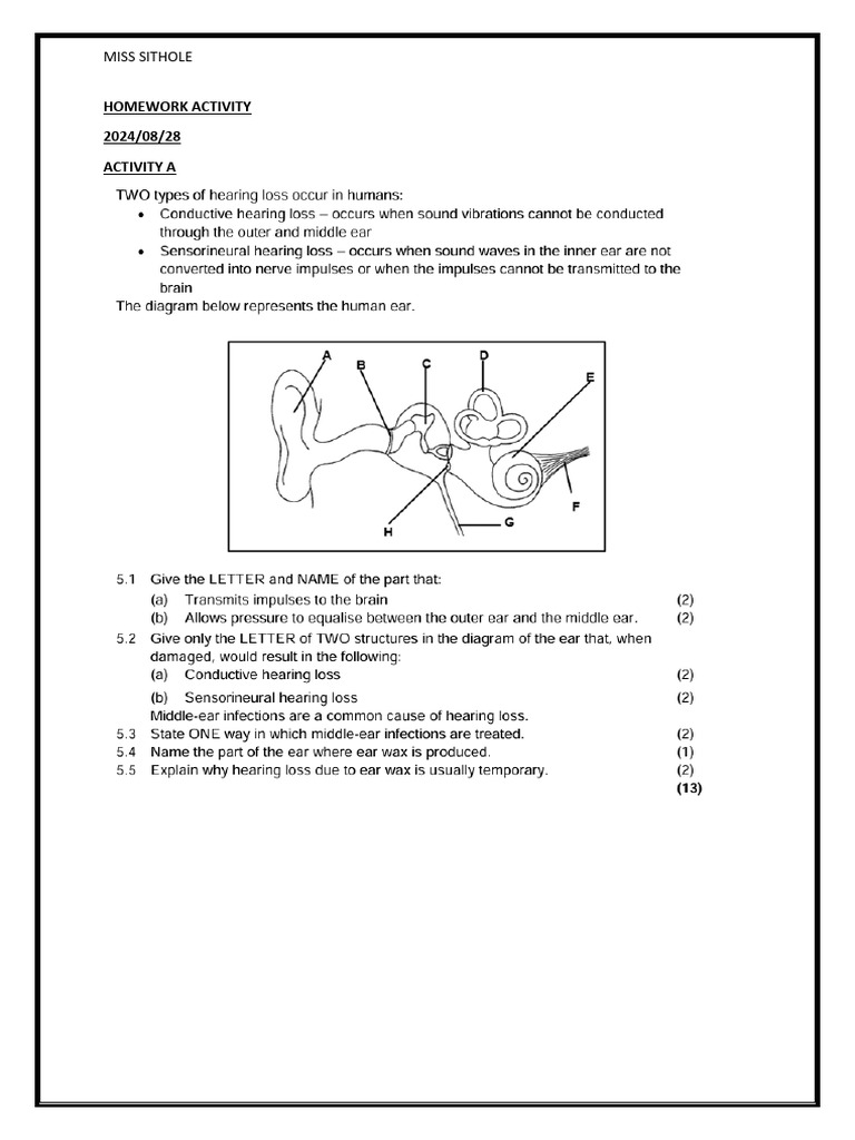 Human Ear Activity C | PDF
