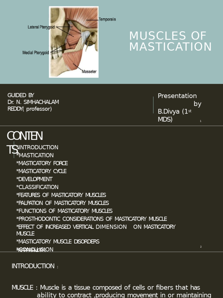 1.Muscles Of Mastication 1-12-23 | PDF | Human Anatomy | Human Head And ...
