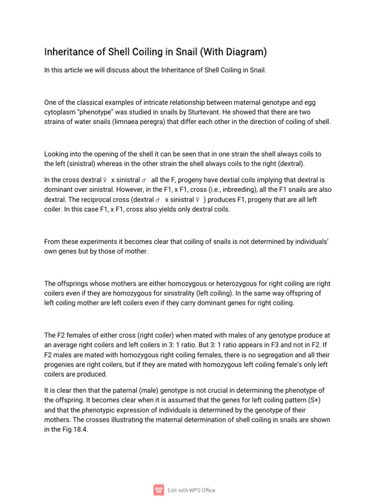 Snail Shell Coiling Inheritance | PDF