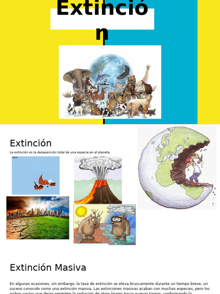 Tipos de Extinción y sus Causas | PDF | Extinción | Tierra