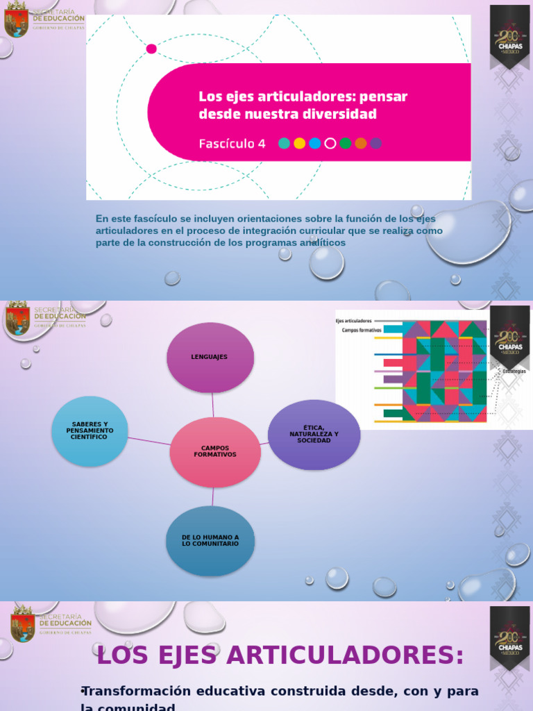 Ejes Articuladores. MEJOREDU | PDF | Plan de estudios | Inclusión ...