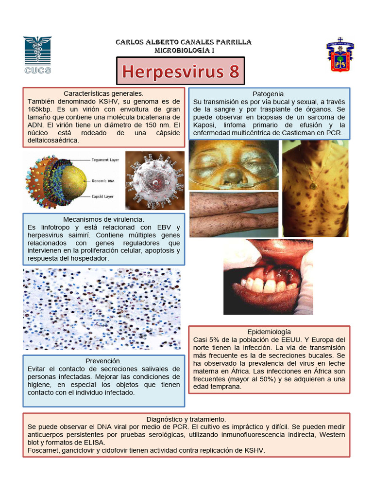 Herpesvirus 8 | PDF