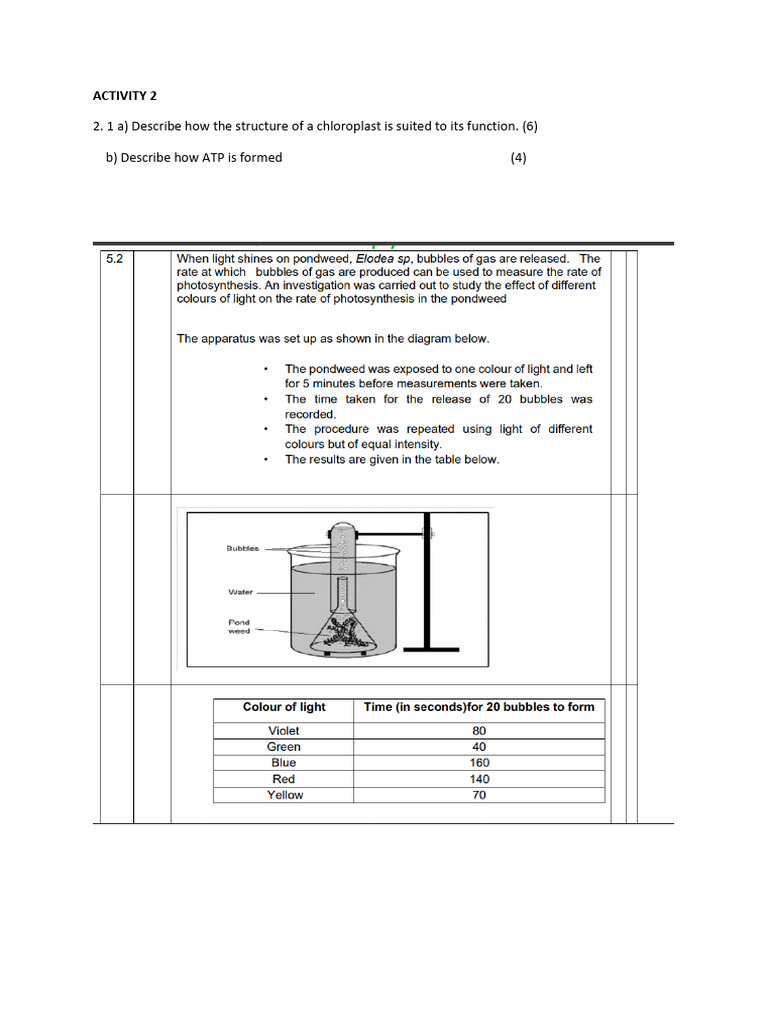 Photosynthesis Activity | PDF