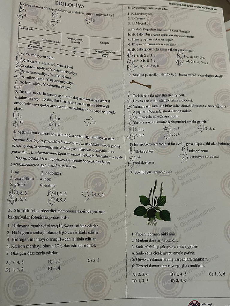 Biologiya otk sınaq 12.05.2024 | PDF