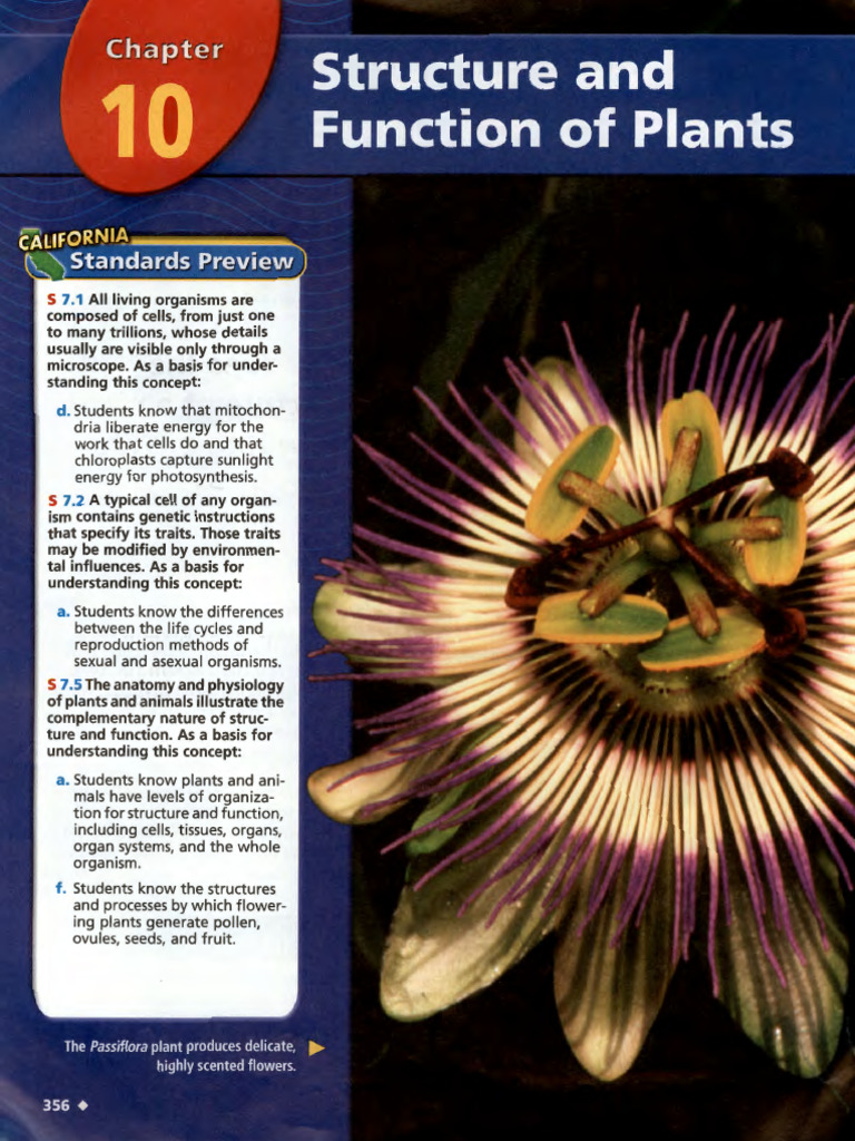 MS SCI LS Unit 3 Chapter 10 Structure and Function of Plants1 | PDF | Moss | Plants