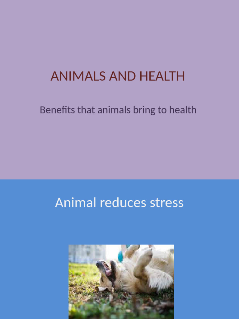 Health Benefits of Pets and Animals | PDF