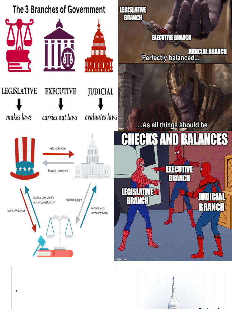 Citizenship and The Constitution (Study Slides) | PDF | American ...