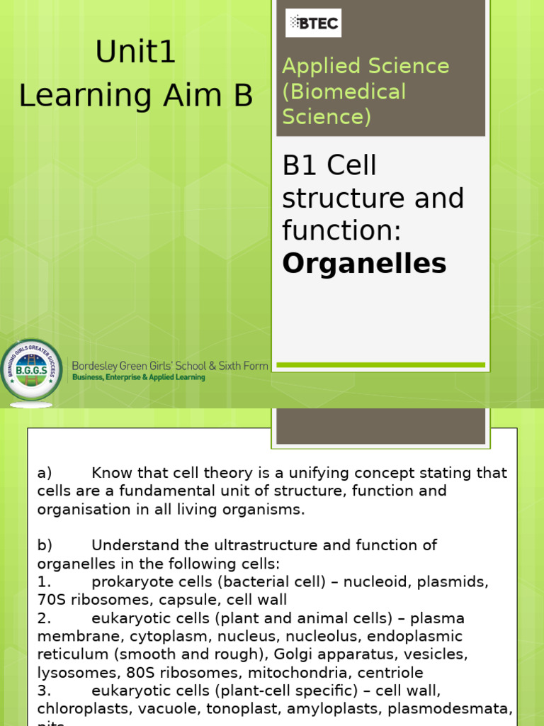 Cell Structure BTEC Edit | PDF | Cell (Biology) | Bacteria