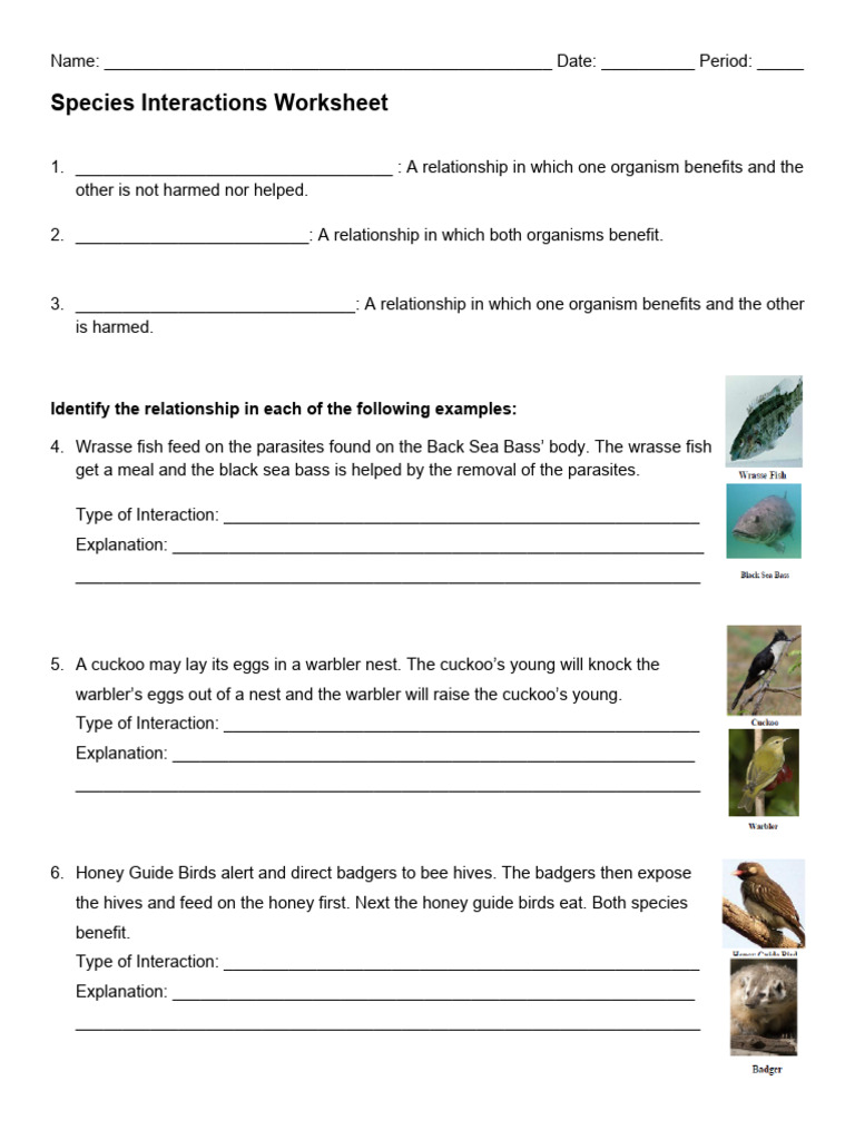 Species Interactions Worksheet: Identify The Relationship in Each of ...