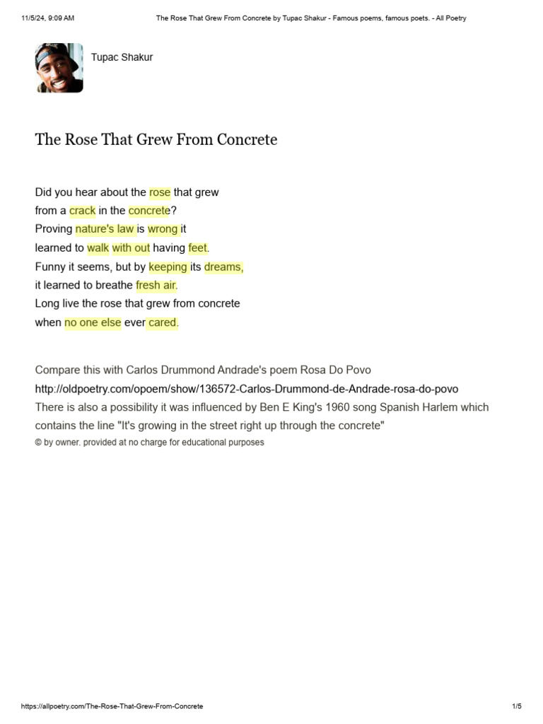 Gurshaan Singh - The Rose That Grew From Concrete by Tupac Shakur ...