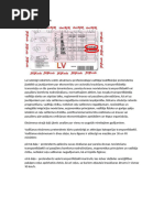 Atlūguma Paraugs | PDF