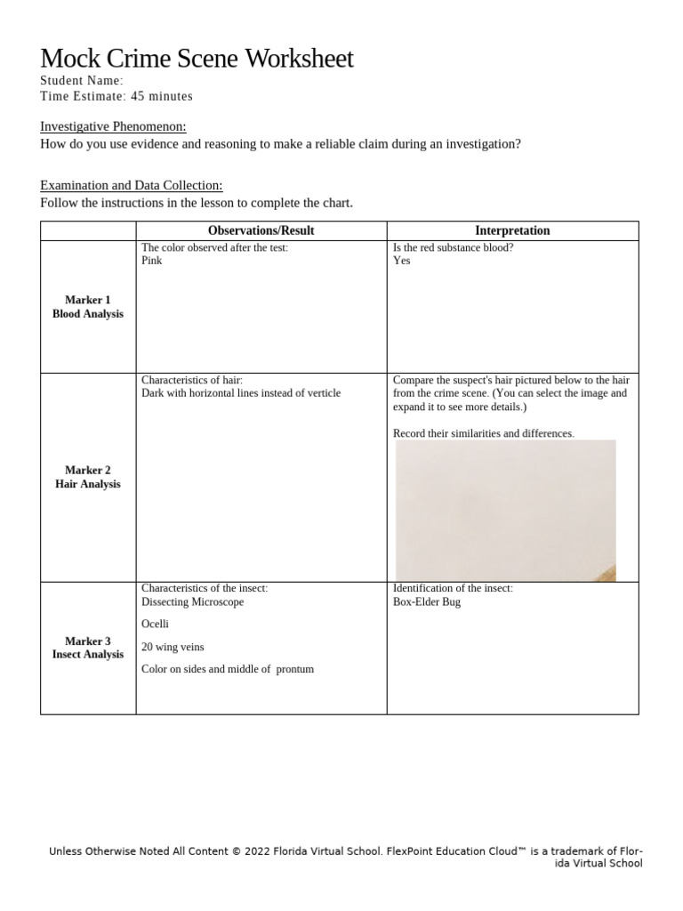 02 07 Mock Crime Scene Worksheet | PDF | Crime Scene | Witness