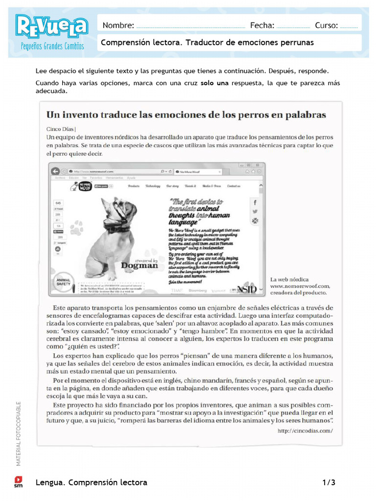 Comprensión Lectora Tema 6 | PDF | Comprensión lectora | Traducciones