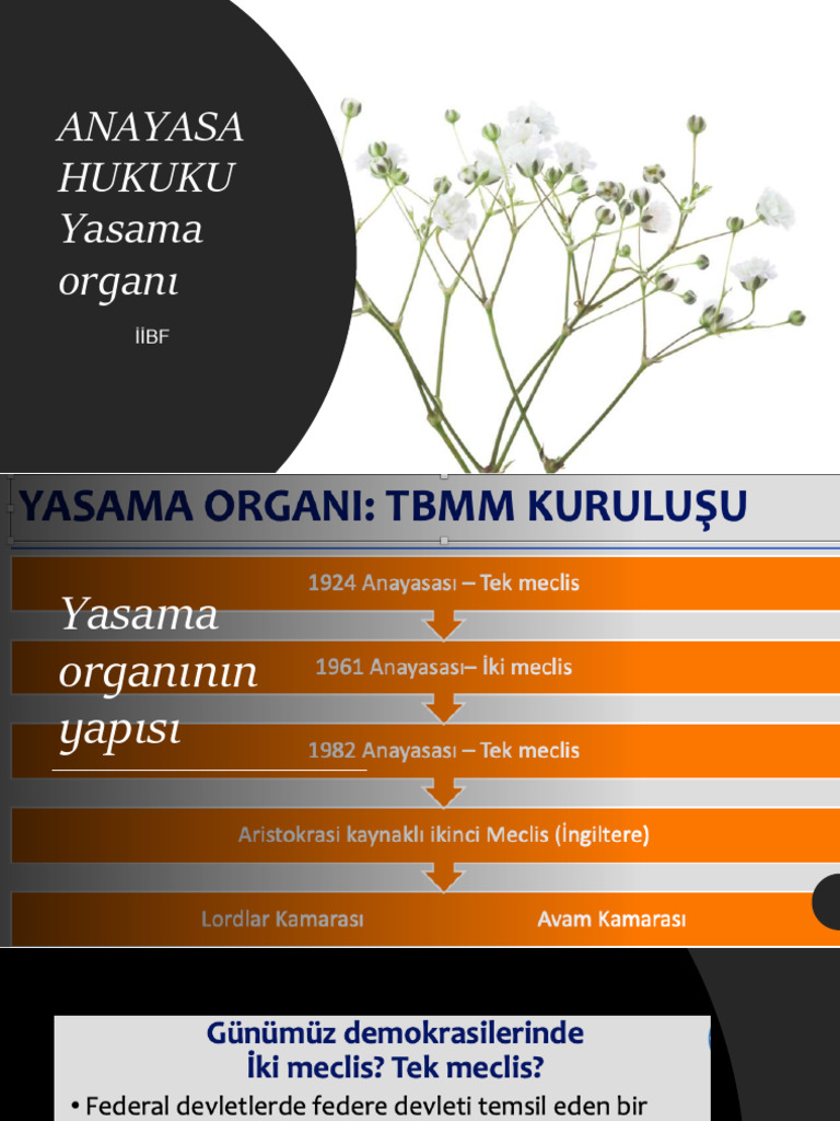 Anayasa Hukuku Yasama Organı, Yapısı, Görev Ve Yetkileri | PDF