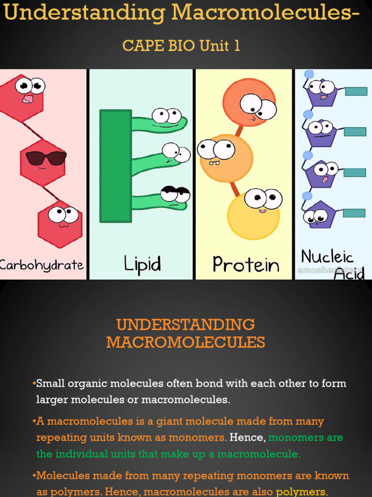 Carbohydrates - Macromolecules | PDF | Carbohydrates | Macromolecules