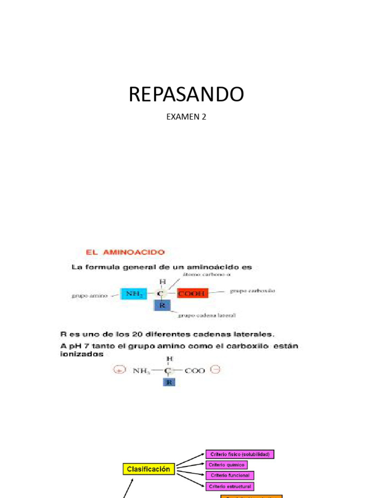 Repasando Examen 2 | PDF