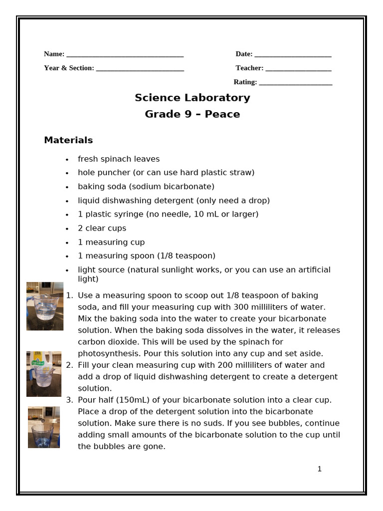 Photosynthesis Experiment with Spinach | PDF | Sodium Bicarbonate
