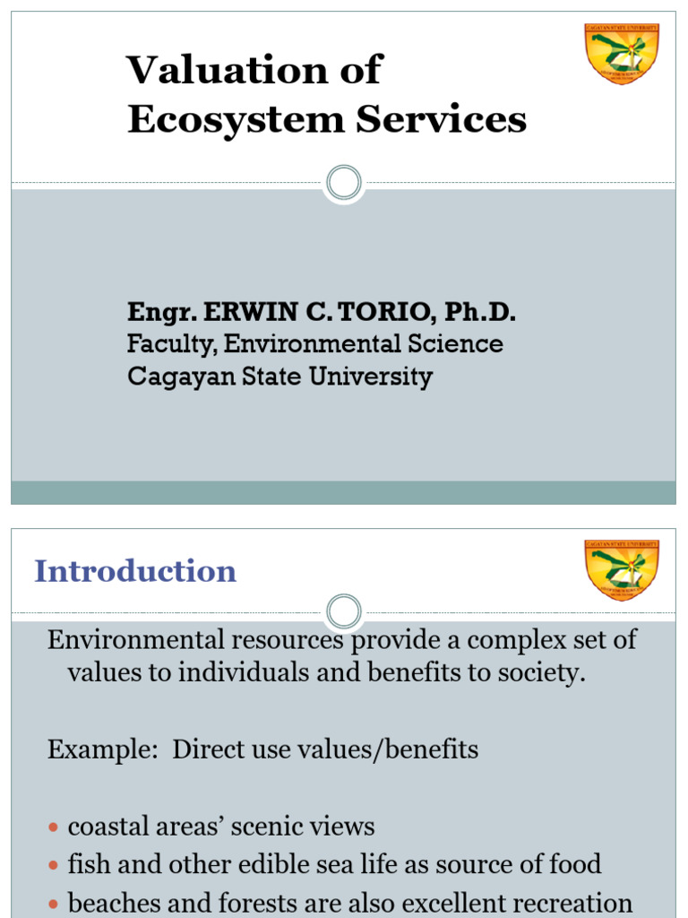 Valuing Ecosystem Services Explained | PDF | Externality ...