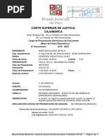 Caratula Expediente Judicial Modelo | PDF