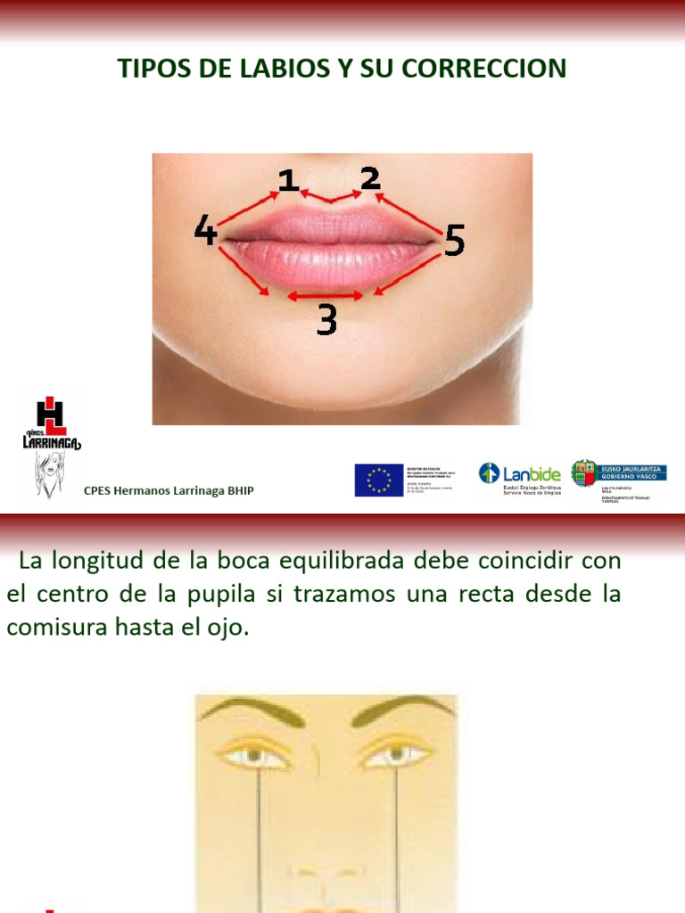 Tipos de Labios y Su Correccion | PDF | Productos cosméticos | Labio