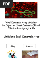 Tatarcik | PDF