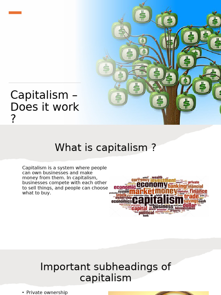 Capitalizm - Does It Work | PDF