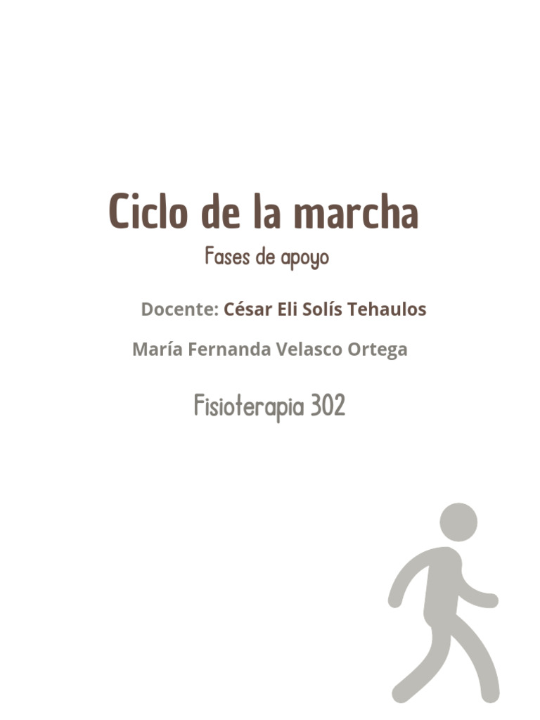 Fases del Ciclo de la Marcha en Fisioterapia | PDF