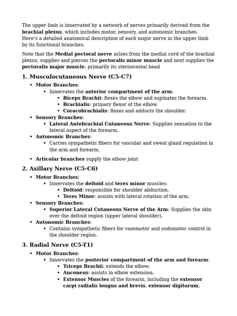 Innervation of the upper limb | PDF | Thumb | Arm