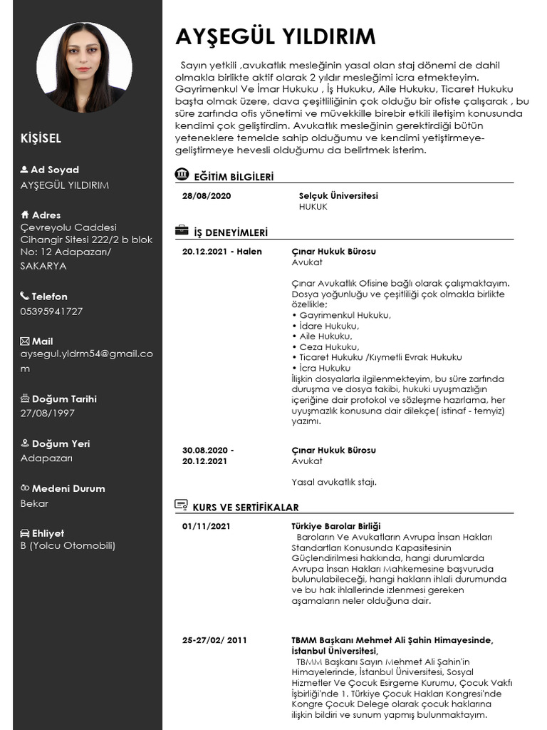 CV Yeni | PDF