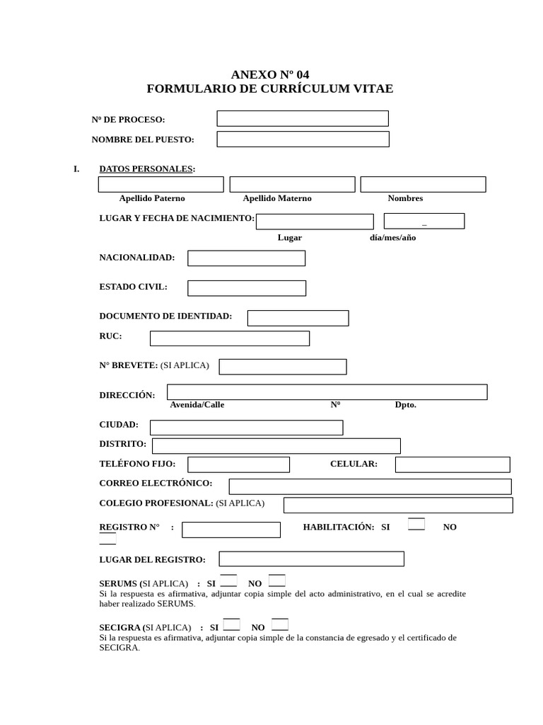 Anexo 4 - Formulario de Currículum Vitae | PDF
