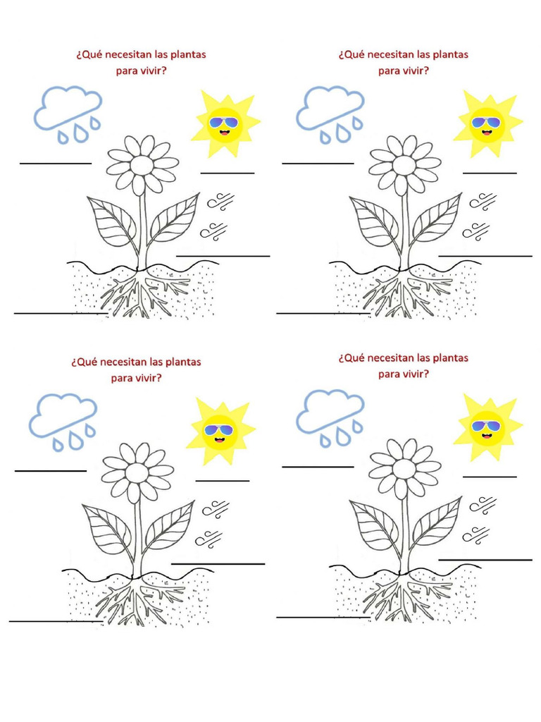 Que Necesita Una Planta para Vivir | PDF