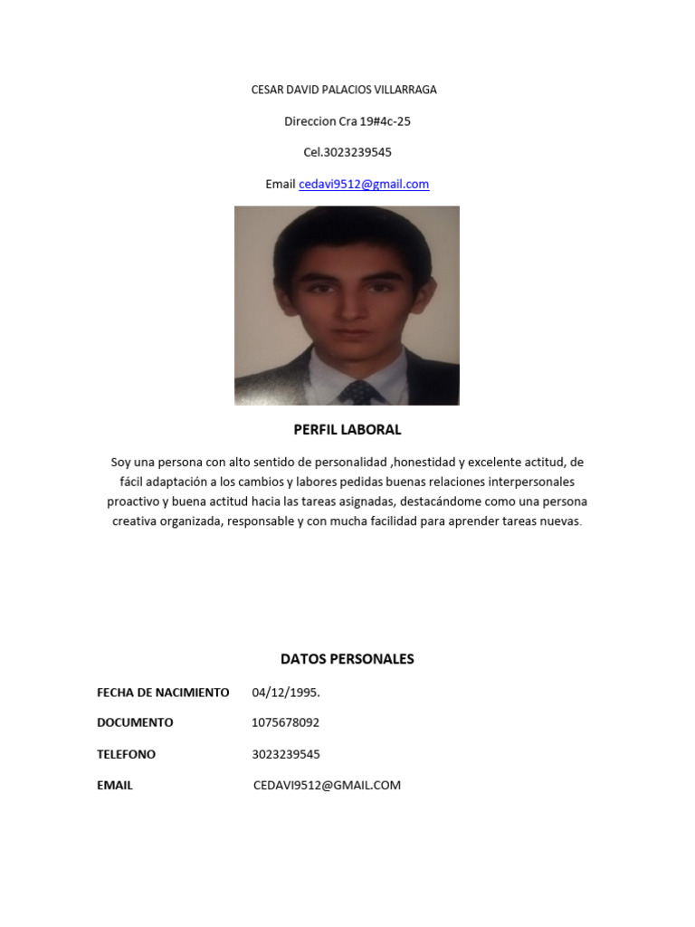CV CESAR PALACIOS 2025 | PDF