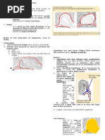 Ridge Counting Ridge Tracing | PDF