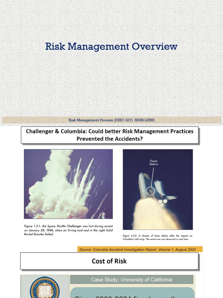 Risk Management Process Overview | PDF