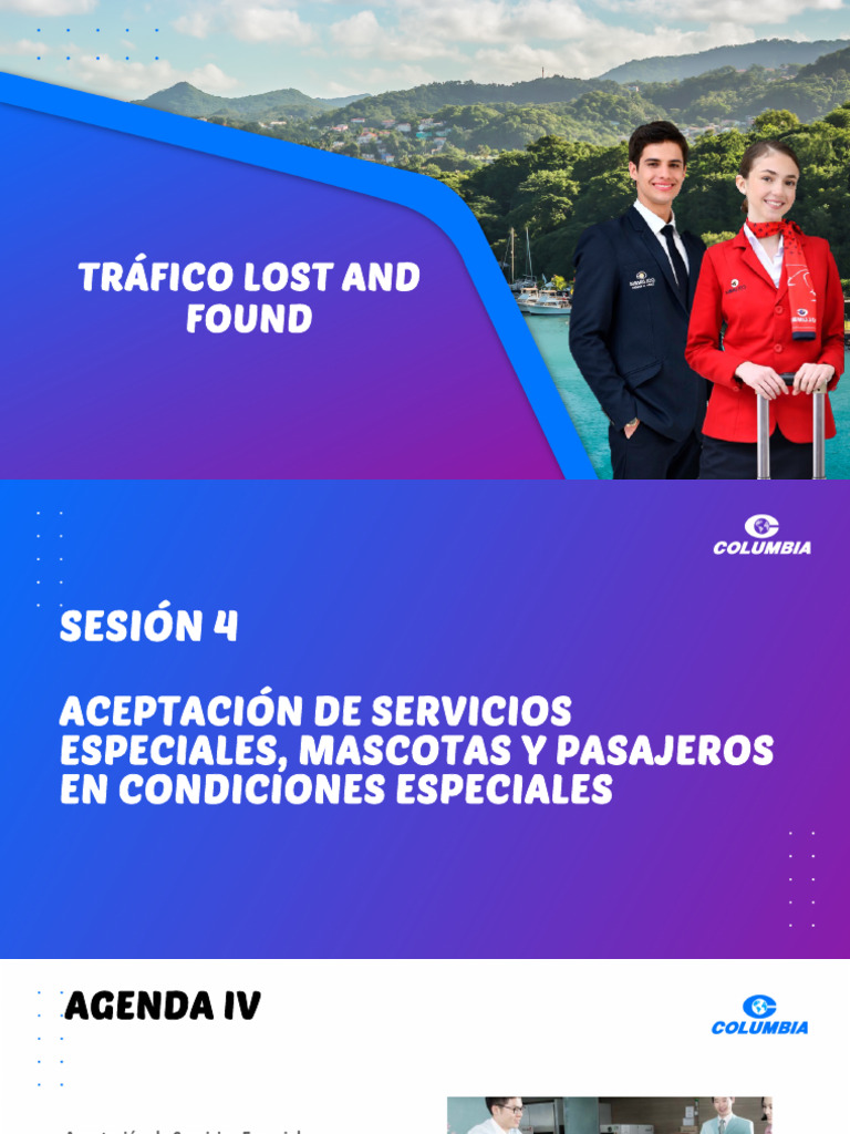 24cac Tlaf S04.R00 | PDF | Aeronave | Transporte