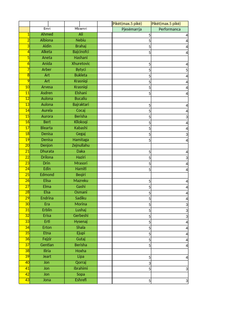 Raporti I ST 2024-2025 | PDF