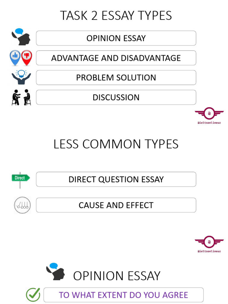 Essay Types and Examples Guide | PDF