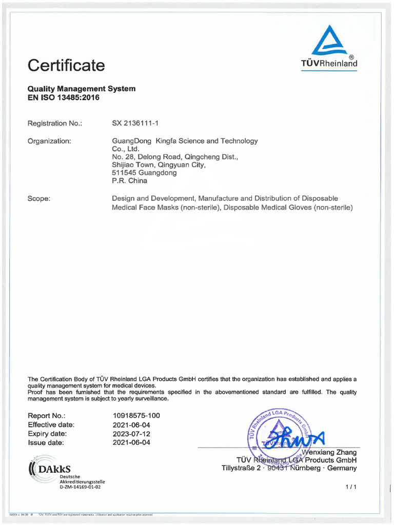 ISO 13485 Medical Device Quality Management System | PDF