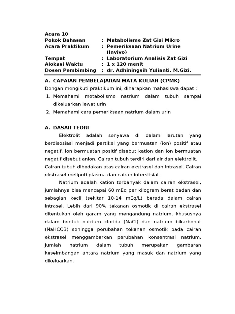 BKPM Pemeriksaan Natrium Urin | PDF