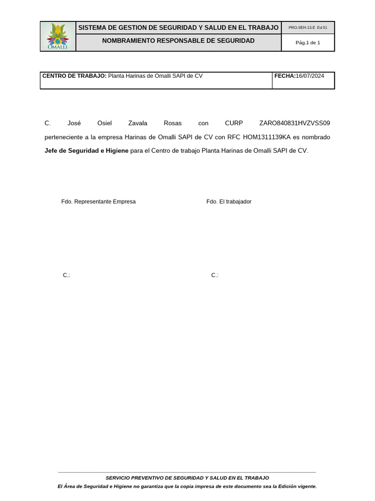 PRO-SEH-13-E Nombramiento Supervisor Seguridad Ed.01 | PDF