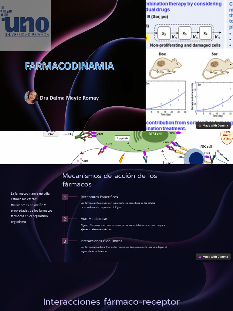 2 Farmacodinamia y Farmacocinetica (1) | PDF | Medicamentos con receta | Farmacocinética