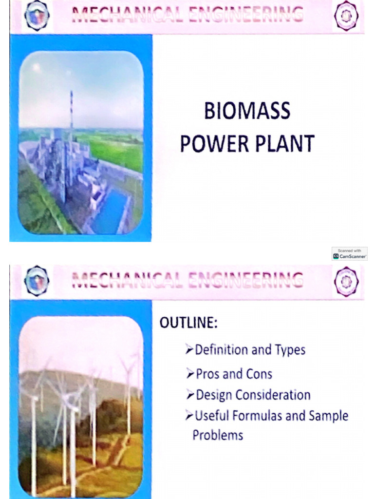 Biomass | PDF