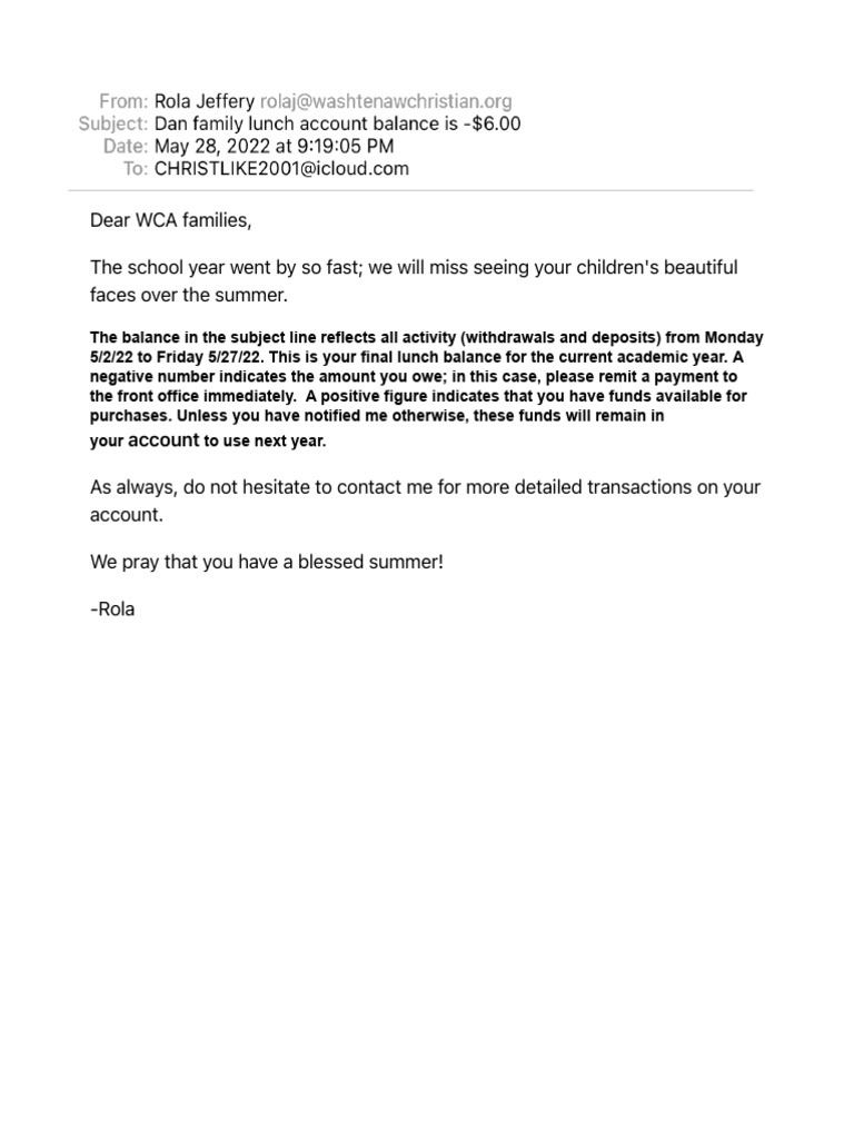 Dan Family Lunch Account Balance Is - $6.00 | PDF