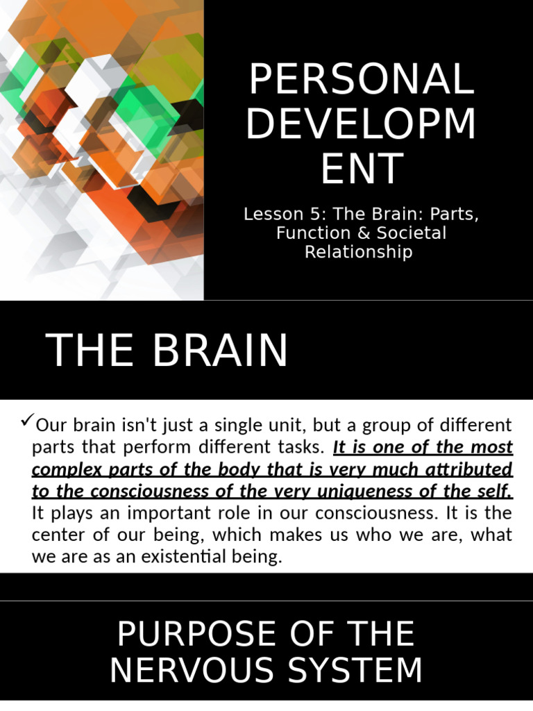 Lesson 56 The Brain Cognitive Development | PDF | Brain | Central ...