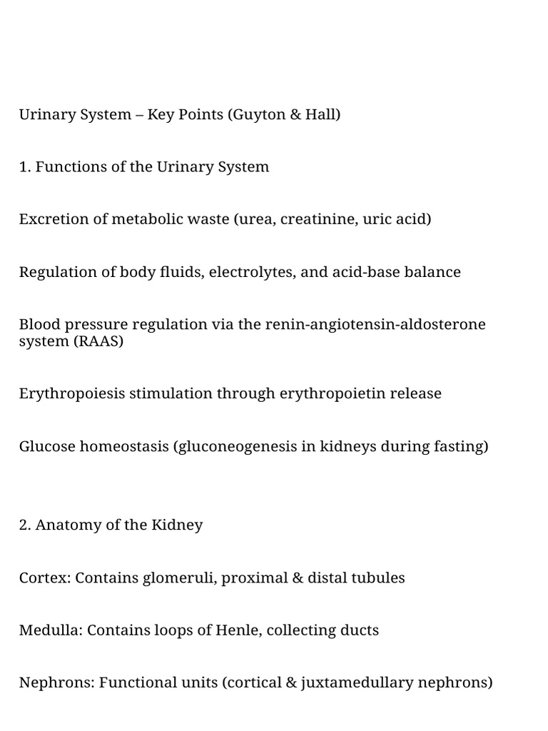 Urinary System Functions & Anatomy | PDF