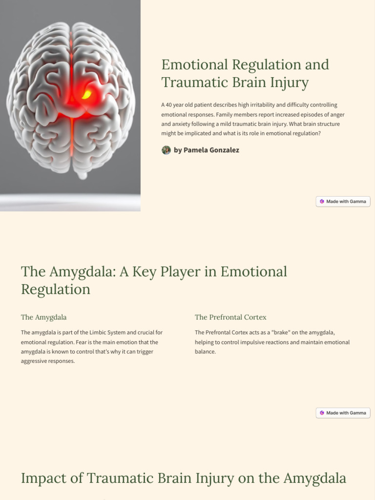 Emotional Regulation and Traumatic Brain Injury | PDF | Amygdala | Emotions