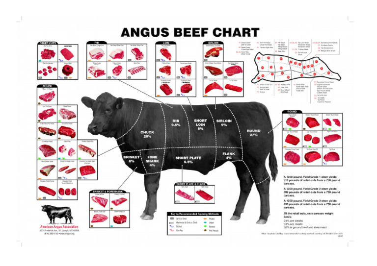 Nama Bagian Daging Sapi | PDF