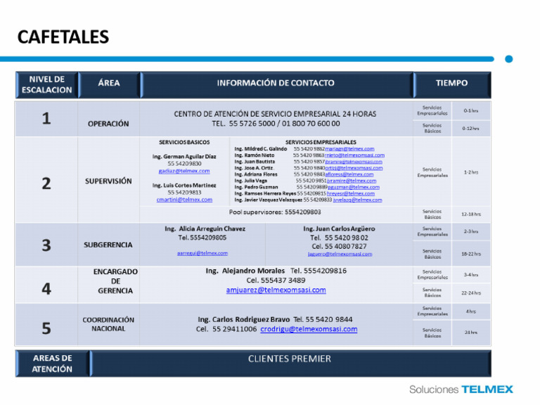 Case Cafetales | PDF