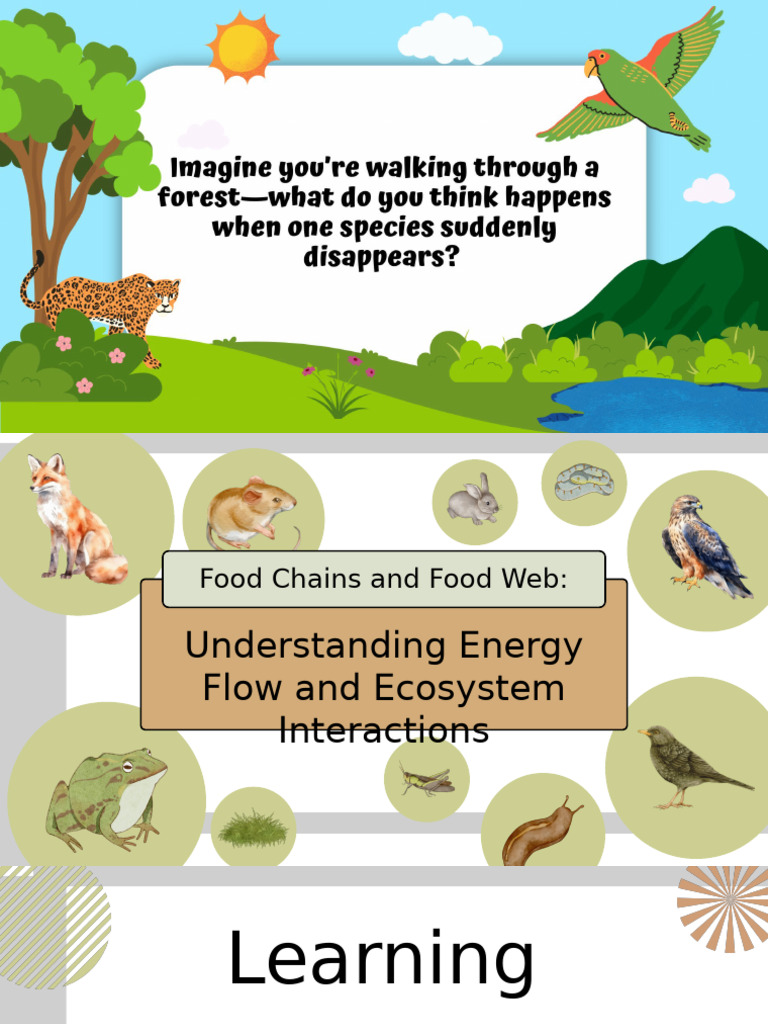 Food Chains and Food Webs | PDF | Food Web | Herbivore
