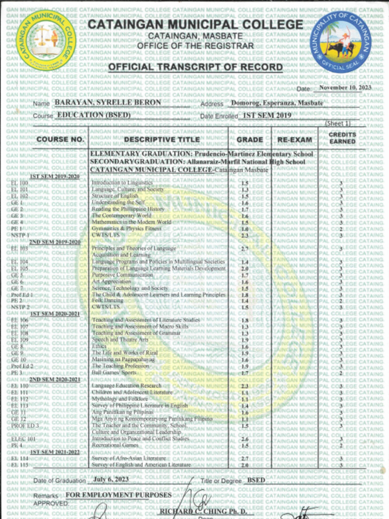 Tor Barayan Syrelle Beron | PDF